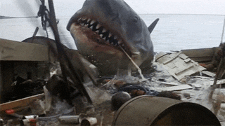 Jaws The Revenge Horror Amino