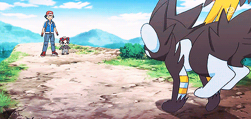 Luxray ♡ Pokémon Amino