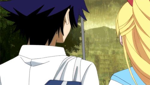 Chitoge X Raku Wiki Anime Amino 