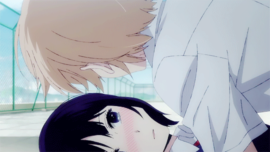 ᴋᴜᴢᴜ ɴᴏ ʜᴏɴᴋᴀɪ Wiki Anime Amino
