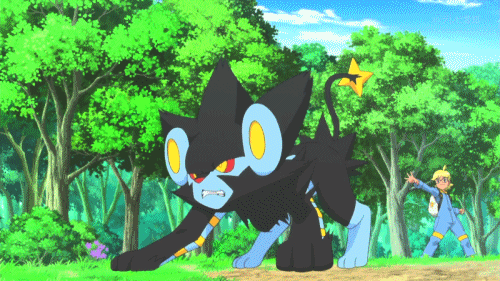 Luxray Wiki Pokémon Amino