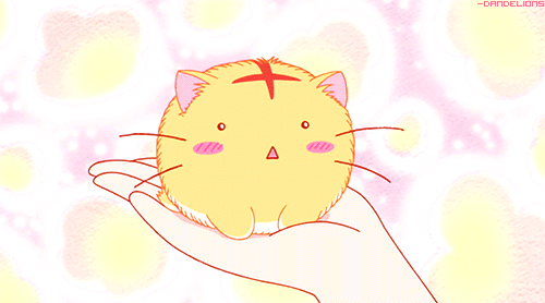Meow🐾 Anime Amino